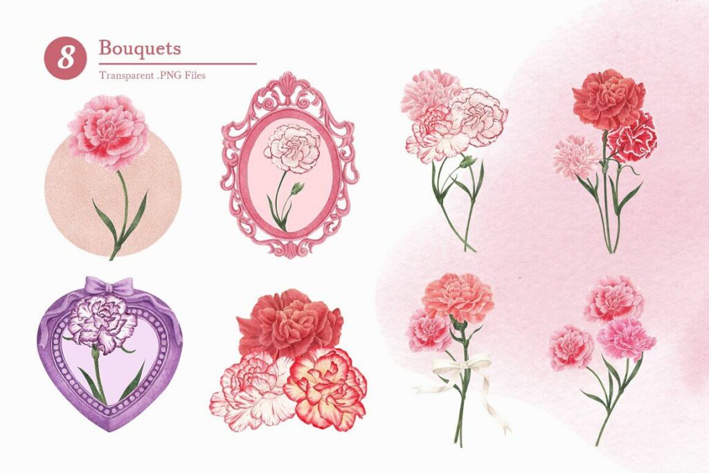 Carnation Flowers Watercolor – MasterBundles