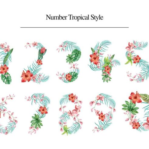 Tropical Alphabet & Number Watercolor | Master Bundles