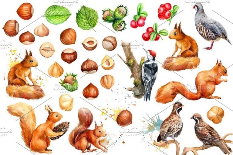 Squirrels, Birds, Nuts, Berries – MasterBundles