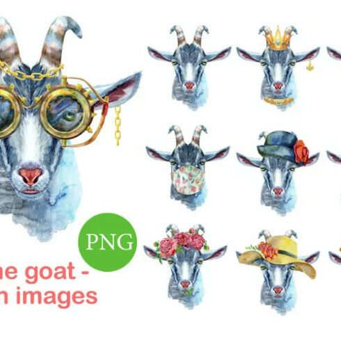 Cheeky Gray Goat | Master Bundles