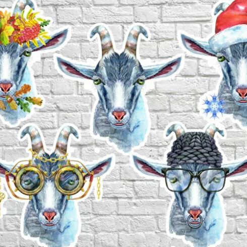 Cheeky Gray Goat | Master Bundles