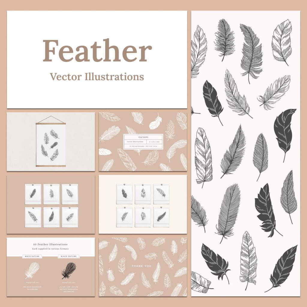 Feather Vector Hand Drawn Illustrations – MasterBundles