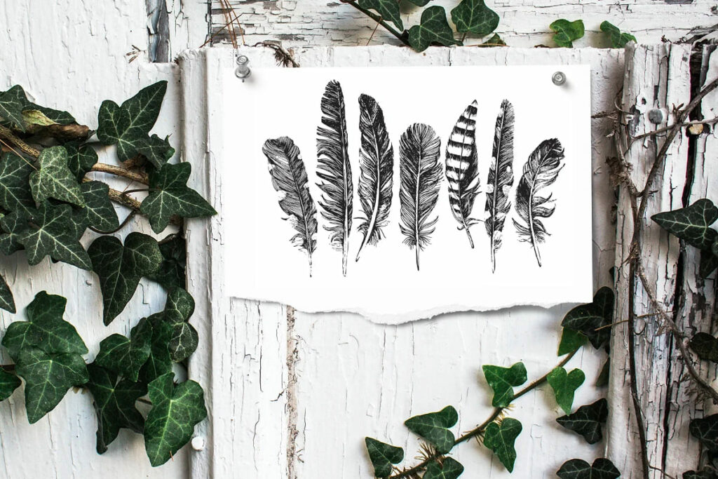 Hand Sketched Feathers Collection – MasterBundles