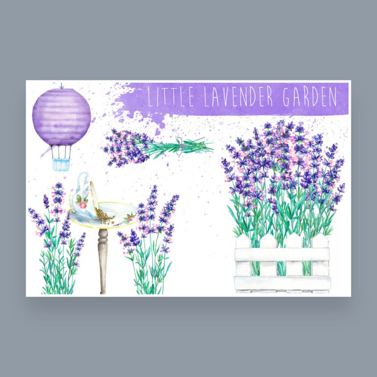 Lavender Watercolor Clipart Set – MasterBundles