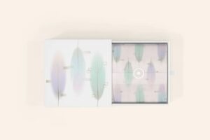 Magic Feathers Vectors Collection – MasterBundles