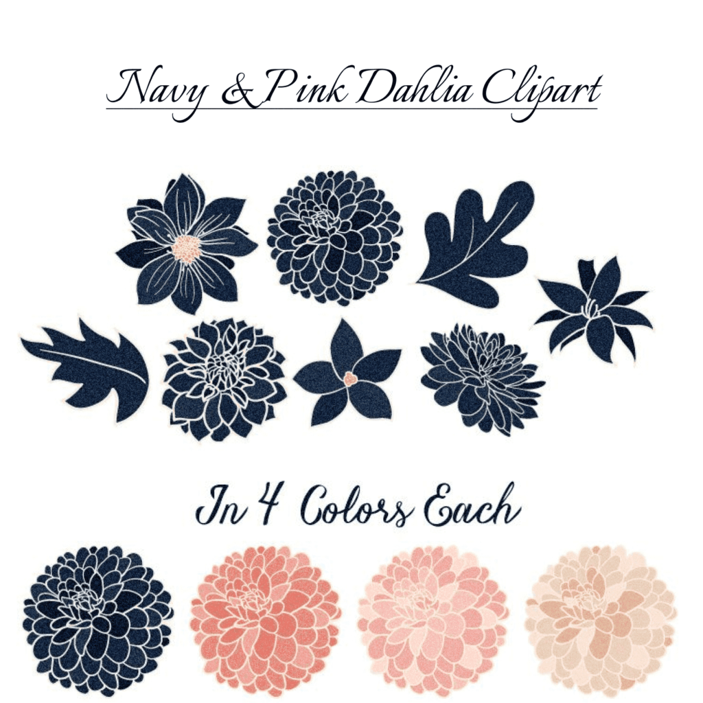 Navy & Pink Dahlia Clipart – MasterBundles