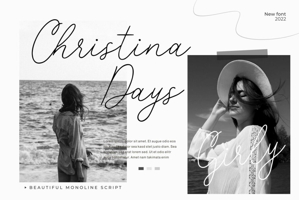 Placepage A Beautiful Monoline Script Font | Master Bundles