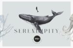SERENDIPITY Underwater Ocean Animals Illustrations – MasterBundles