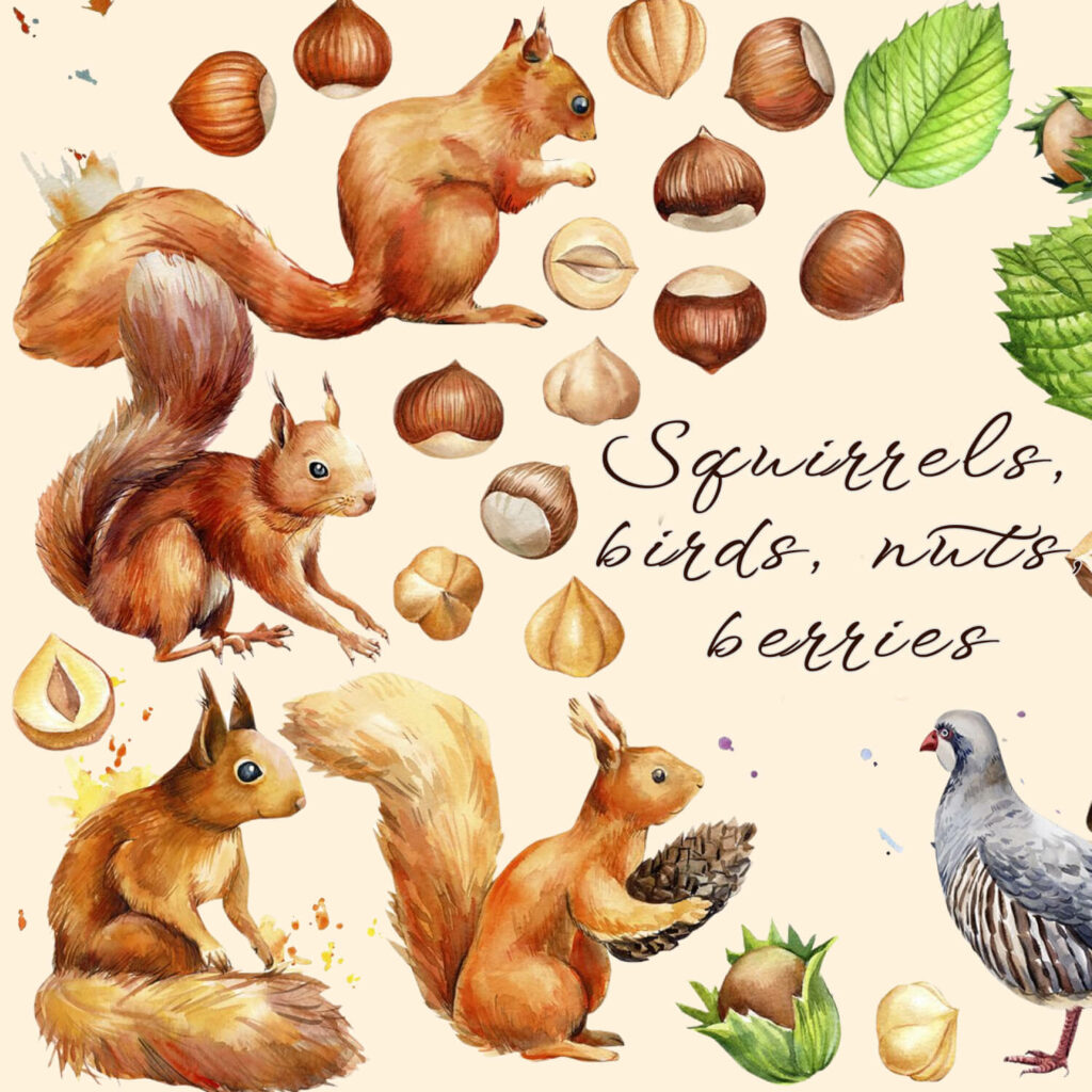 10+ Squirrel Pattern Graphic Bundles for 2025 - MasterBundles