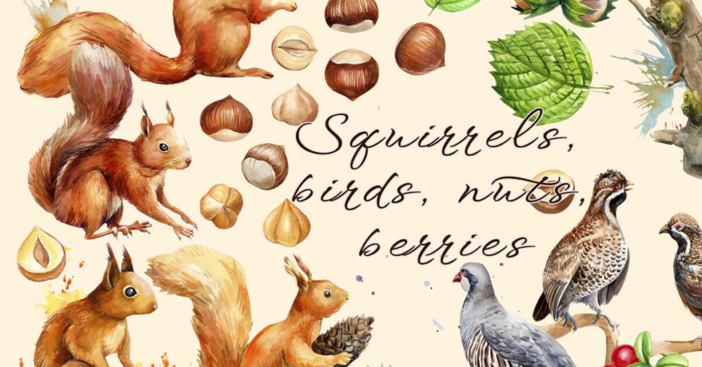 Squirrels, Birds, Nuts, Berries – MasterBundles