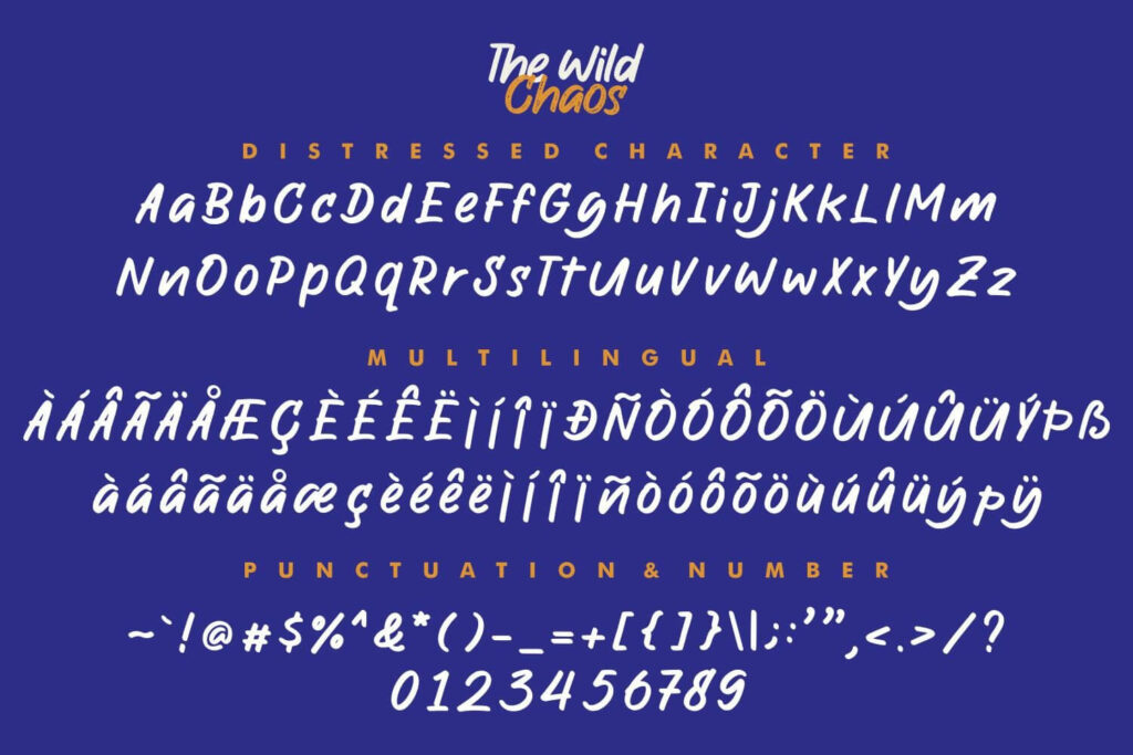 The Wild Chaos Handwritten Display Font Font – MasterBundles