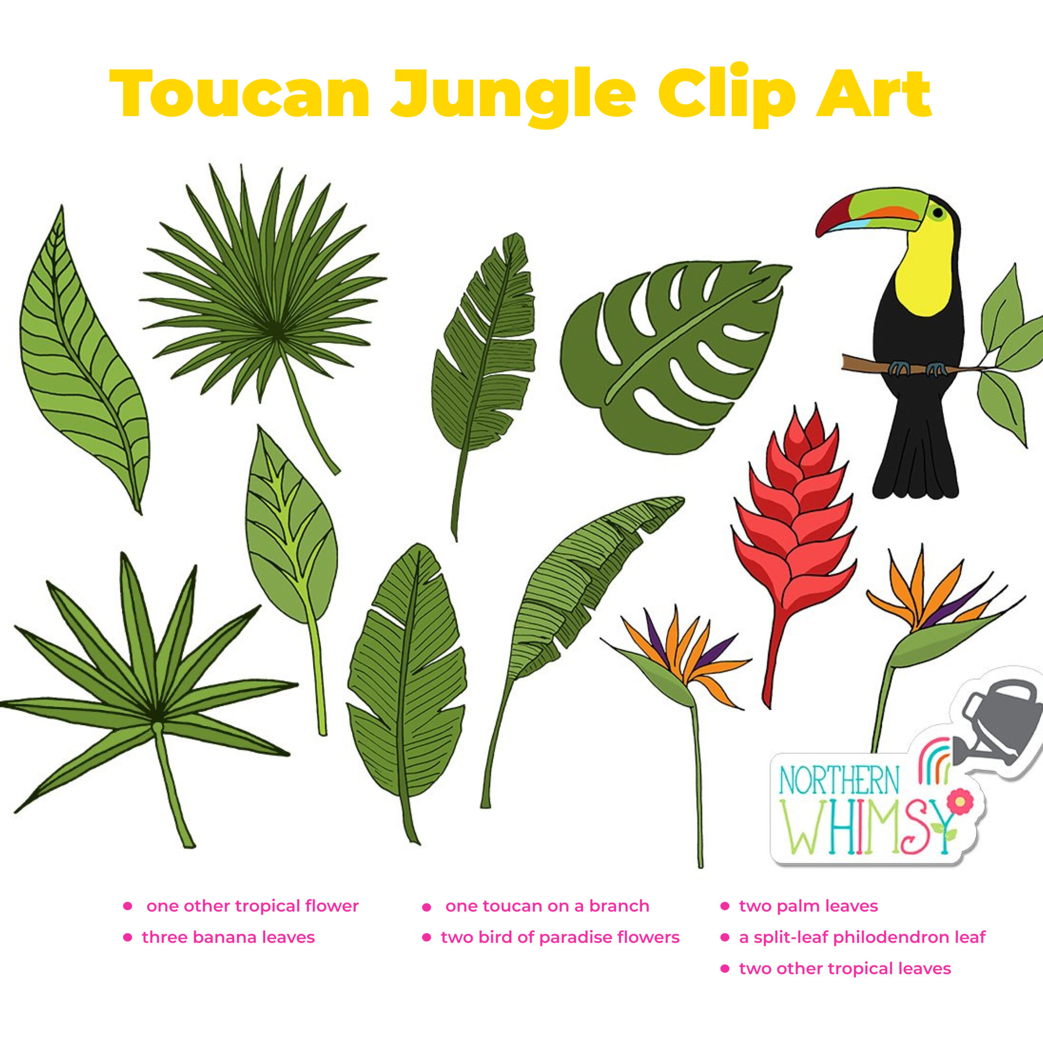 Toucan Jungle Clip Art – MasterBundles