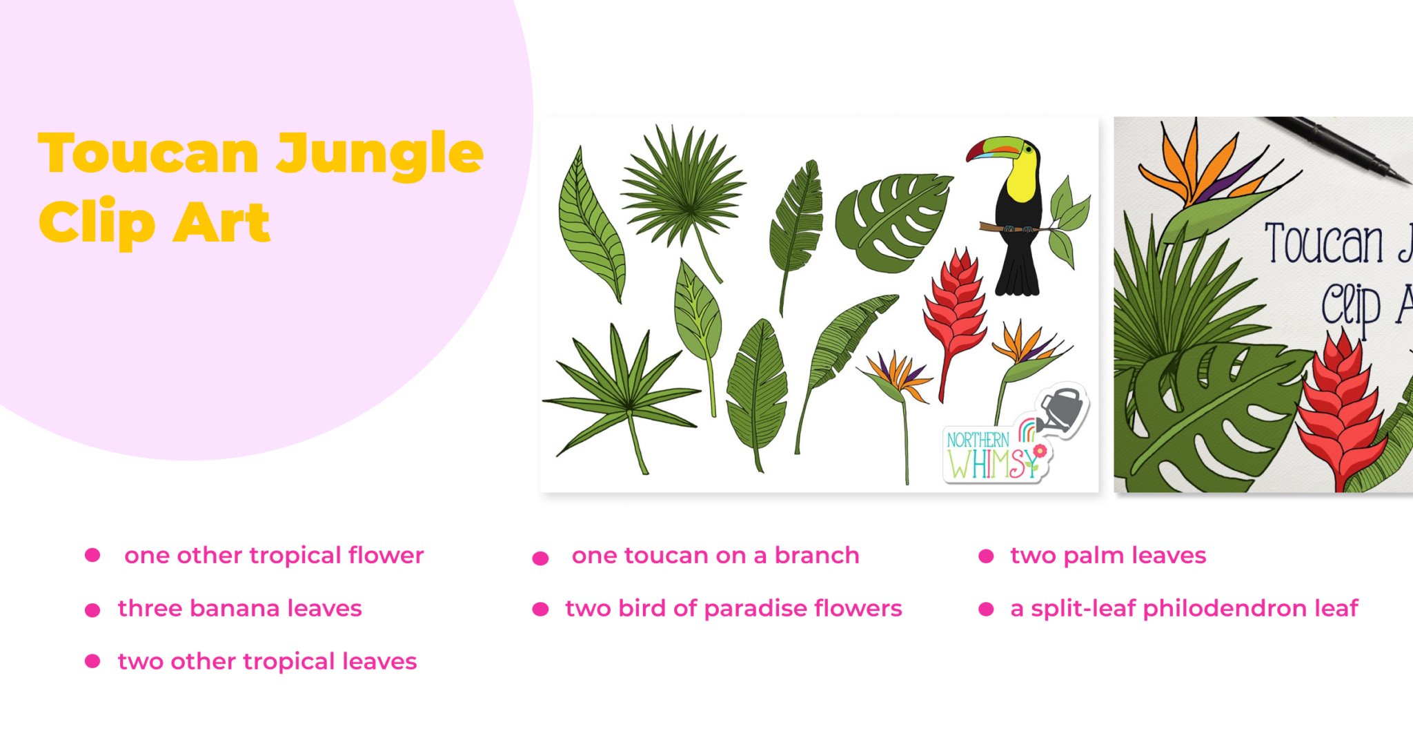 Toucan Jungle Clip Art – MasterBundles