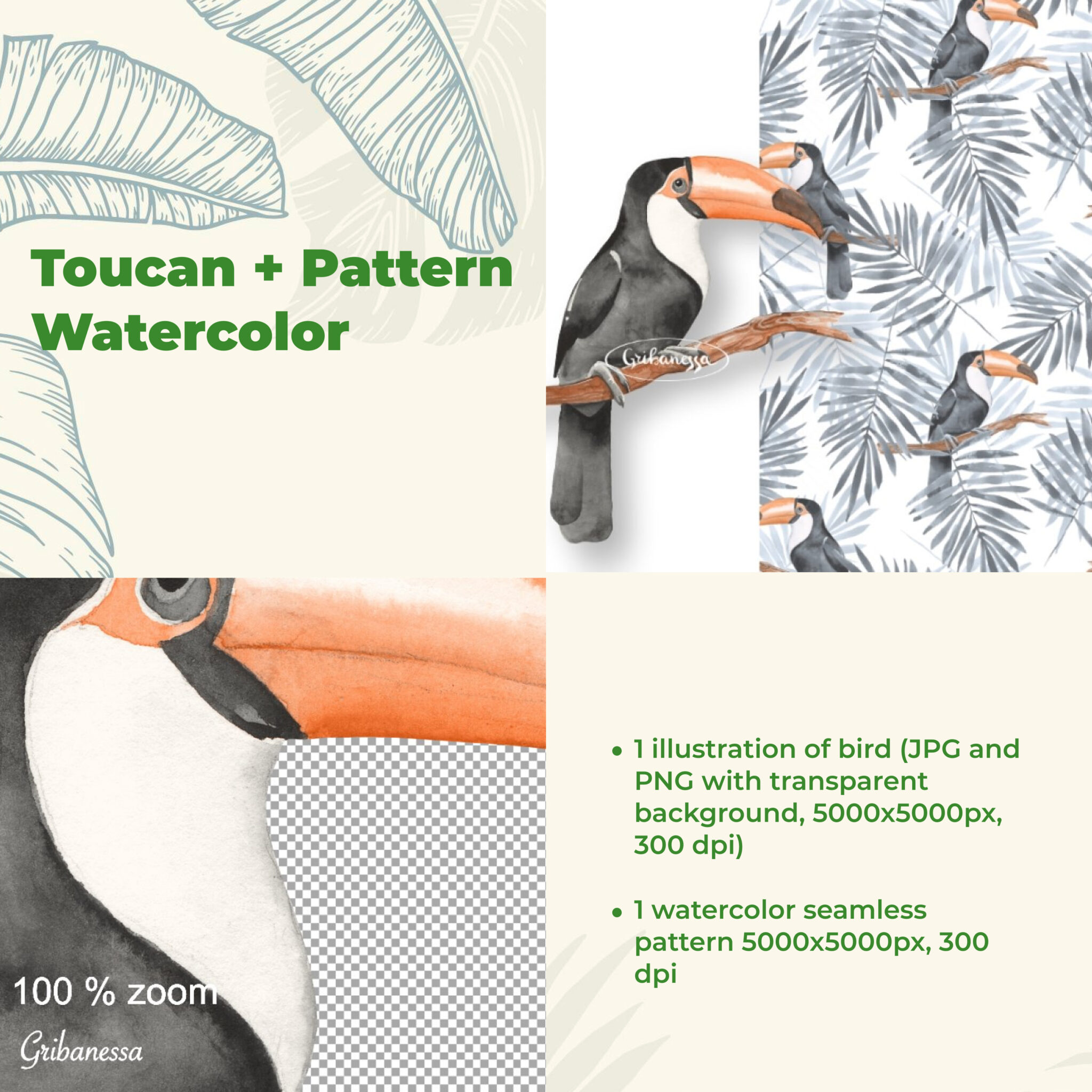 Macaw and Toucan Patterns | Master Bundles