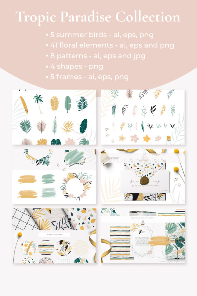 Tropic Paradise Collection – MasterBundles