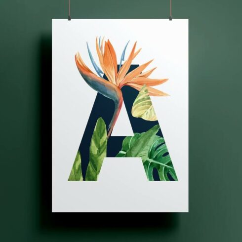 Tropical Alphabet & Number Watercolor | Master Bundles