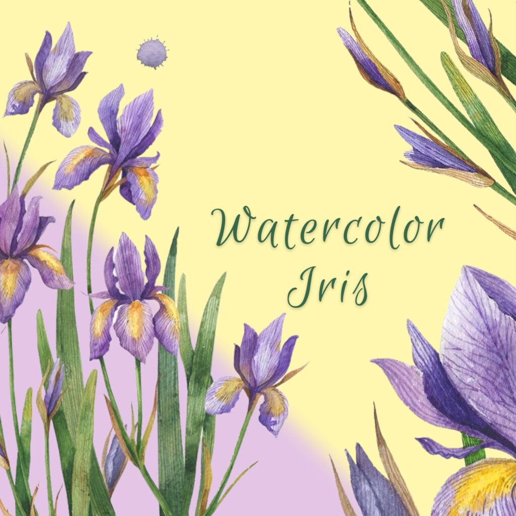 Watercolor Iris Set of Flowers – MasterBundles