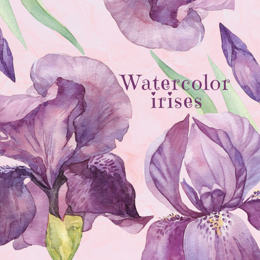 Watercolor Irises+Vector – MasterBundles