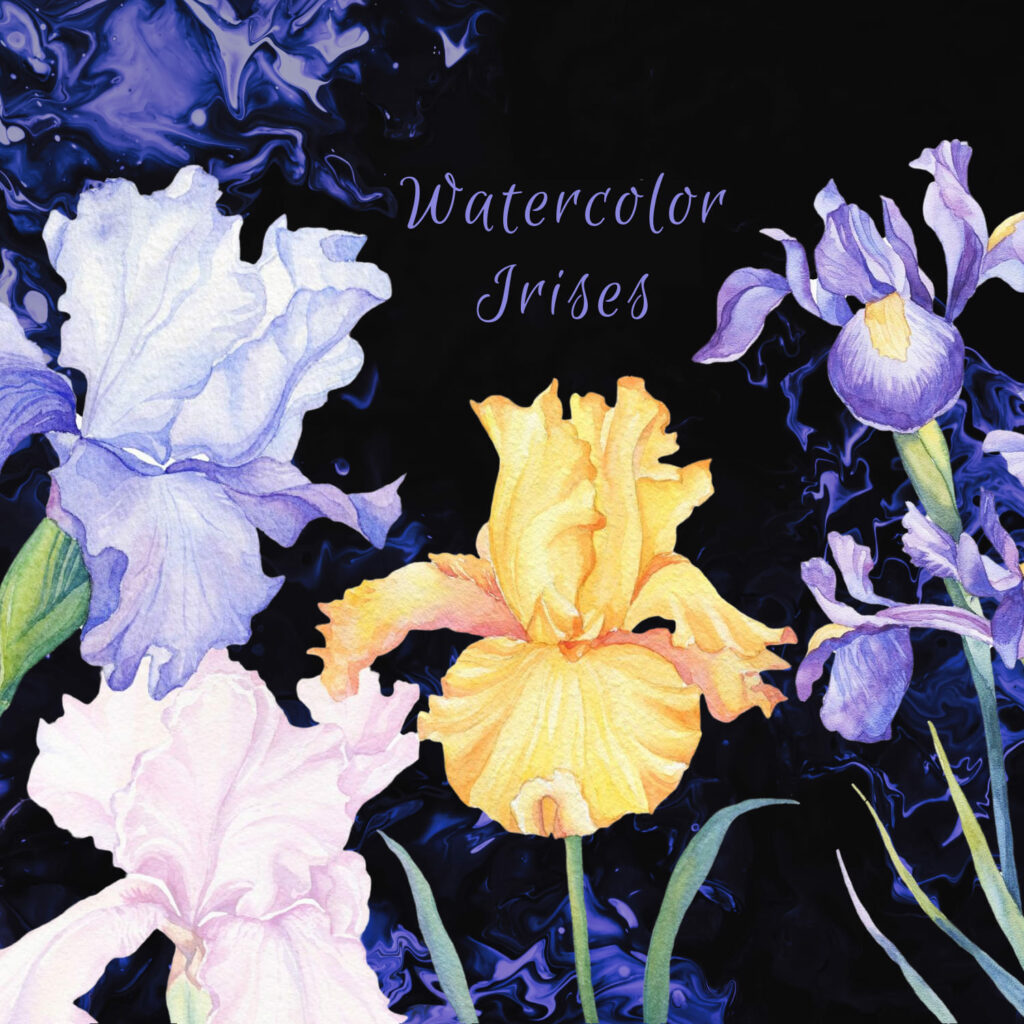 Watercolor Irises Collection – MasterBundles