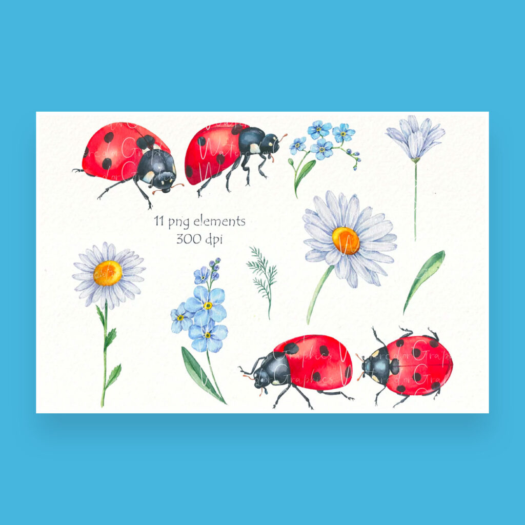 Watercolor Ladybug Clipart Bundle | Cute Insect PNG – MasterBundles