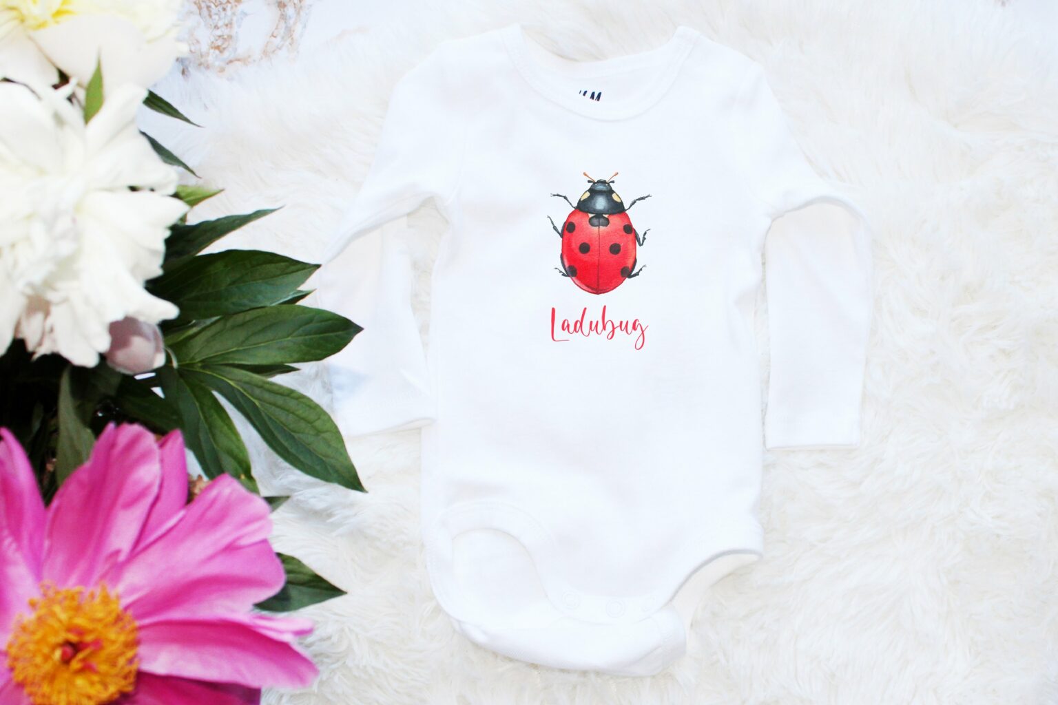 Watercolor Ladybug Clipart Bundle | Cute Insect PNG – MasterBundles