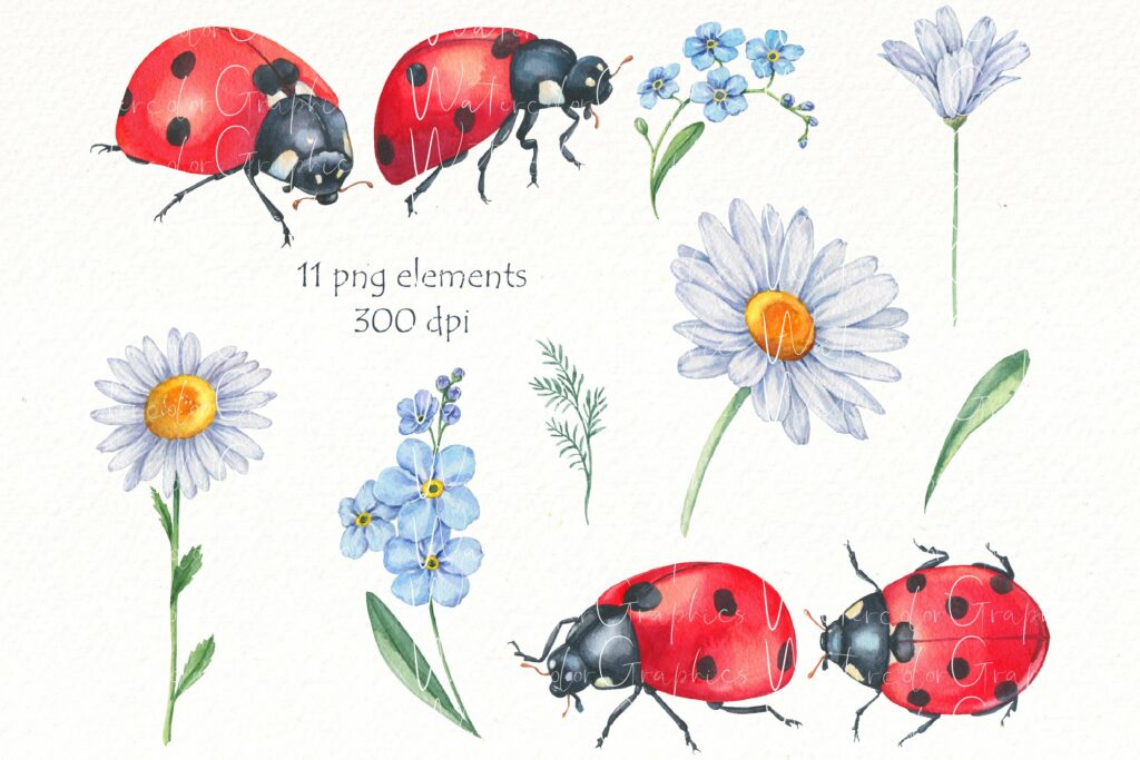 Watercolor Ladybug Clipart Bundle | Cute Insect PNG – MasterBundles