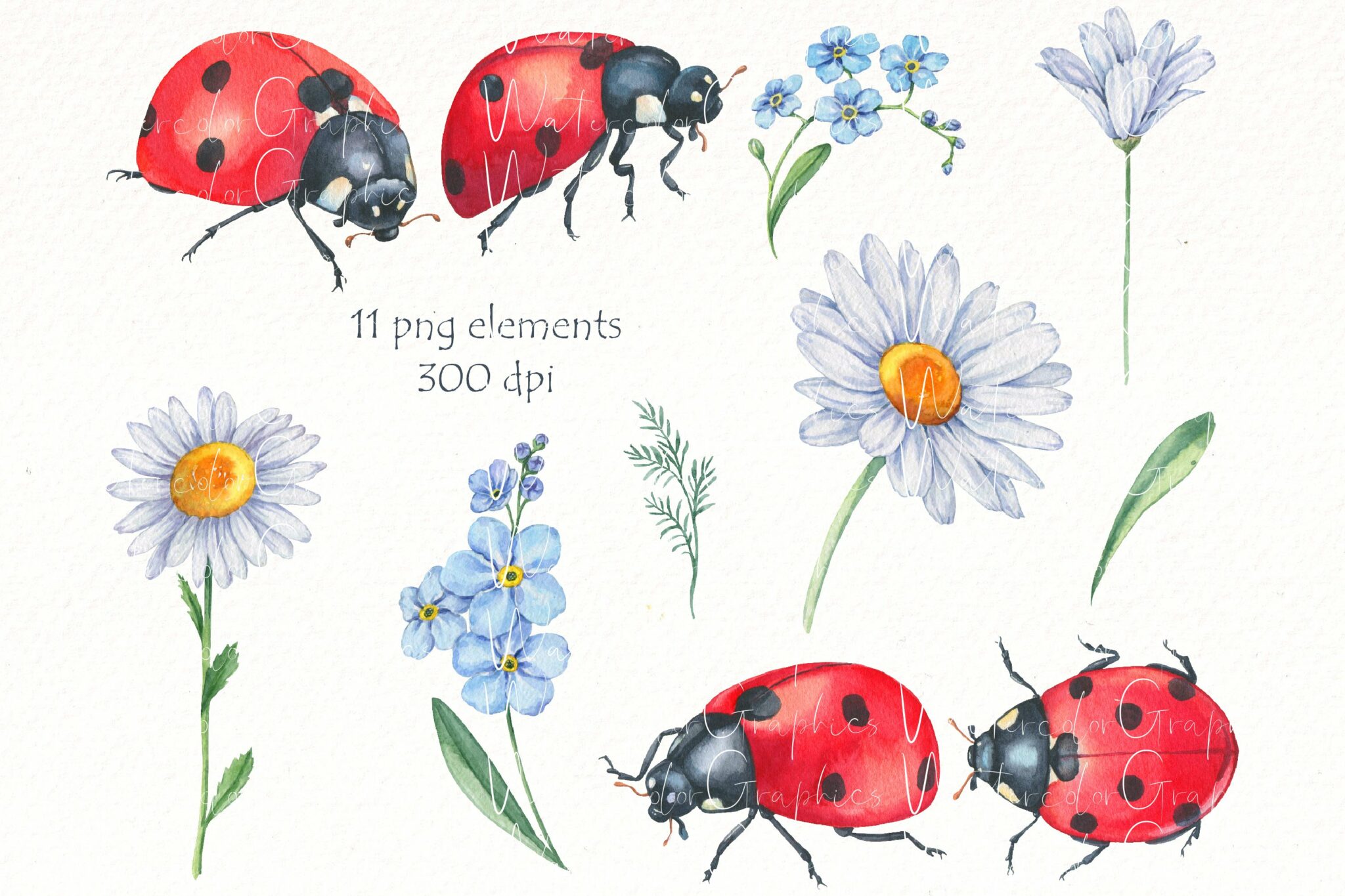 Watercolor Ladybug Clipart Bundle | Cute Insect PNG – MasterBundles