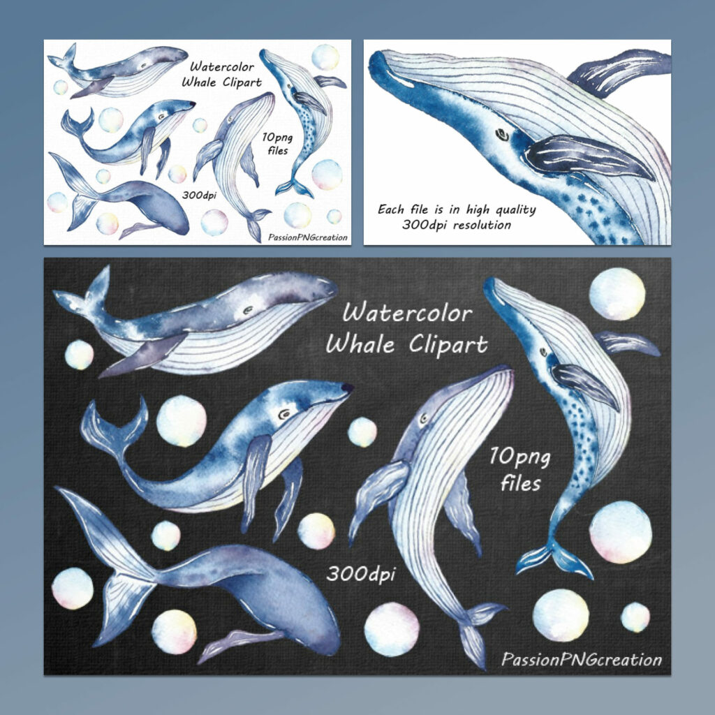 Watercolor Whale Clipart Collection – MasterBundles