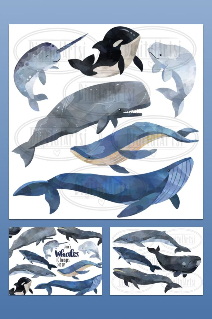 Hand Drawn Watercolor Whale Clipart – MasterBundles