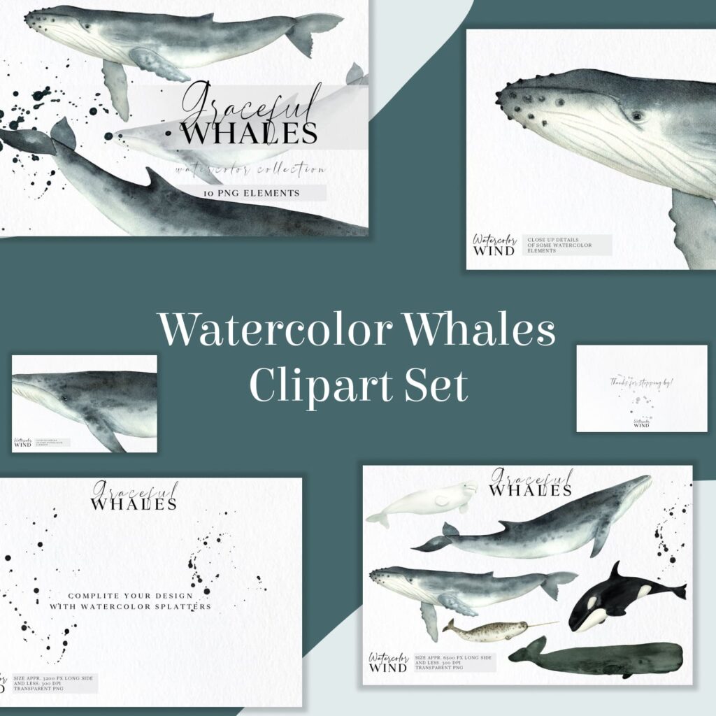 Watercolor Koi Fish Clipart Set | Master Bundles