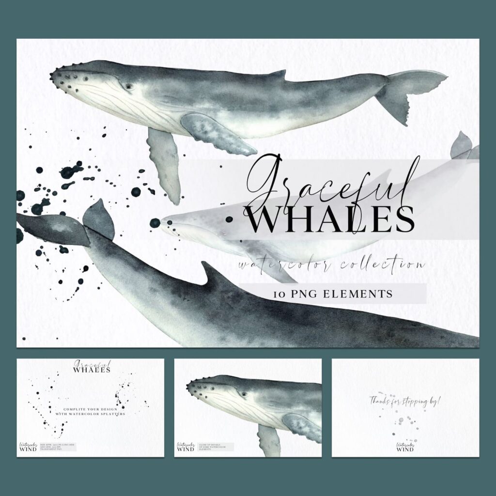 Graceful Watercolor Whales Clipart Set – MasterBundles