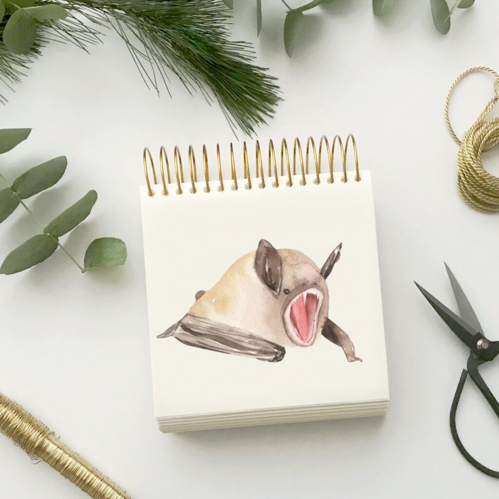 Watercolors Bats Hand Painted Chiroptera Wings Cute – MasterBundles