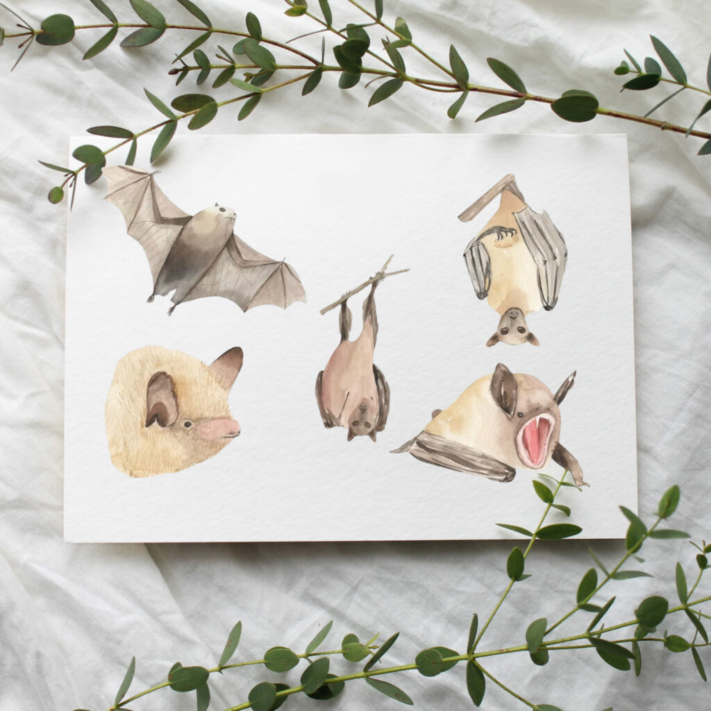 Watercolors Bats Hand Painted Chiroptera Wings Cute – MasterBundles
