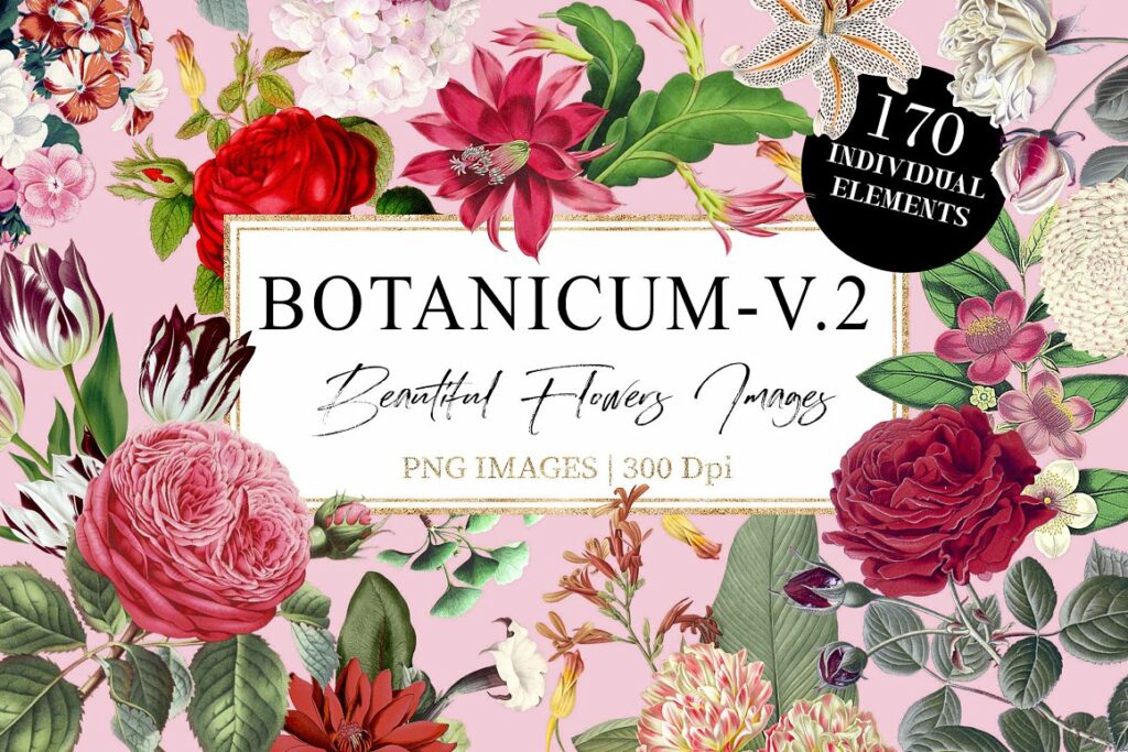 Botanicum - V.2 – MasterBundles