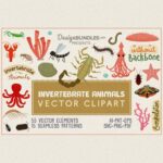 Invertebrate Animals Vector Clipart Pack – MasterBundles