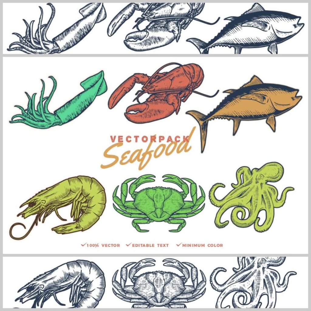 Seafood Vector Collection – MasterBundles