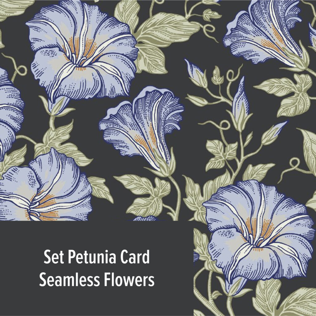 Set Petunia Card Seamless Flowers – MasterBundles