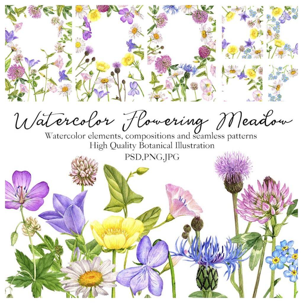 Daisy Clipart Watercolor – MasterBundles