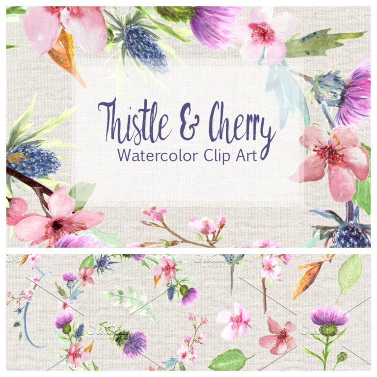 Thistle Flowers Collection PNG Watercolor Set – MasterBundles