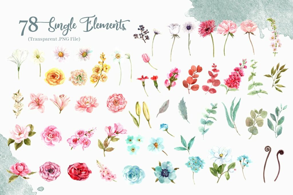 Colorful Flowers Summer Watercolor – MasterBundles