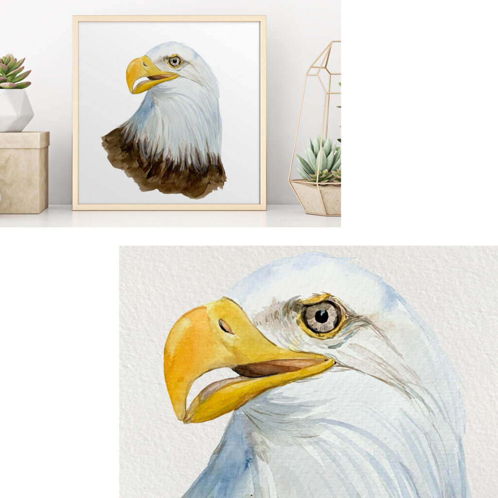 Watercolor Bald Eagle - Clip Art And Print – MasterBundles