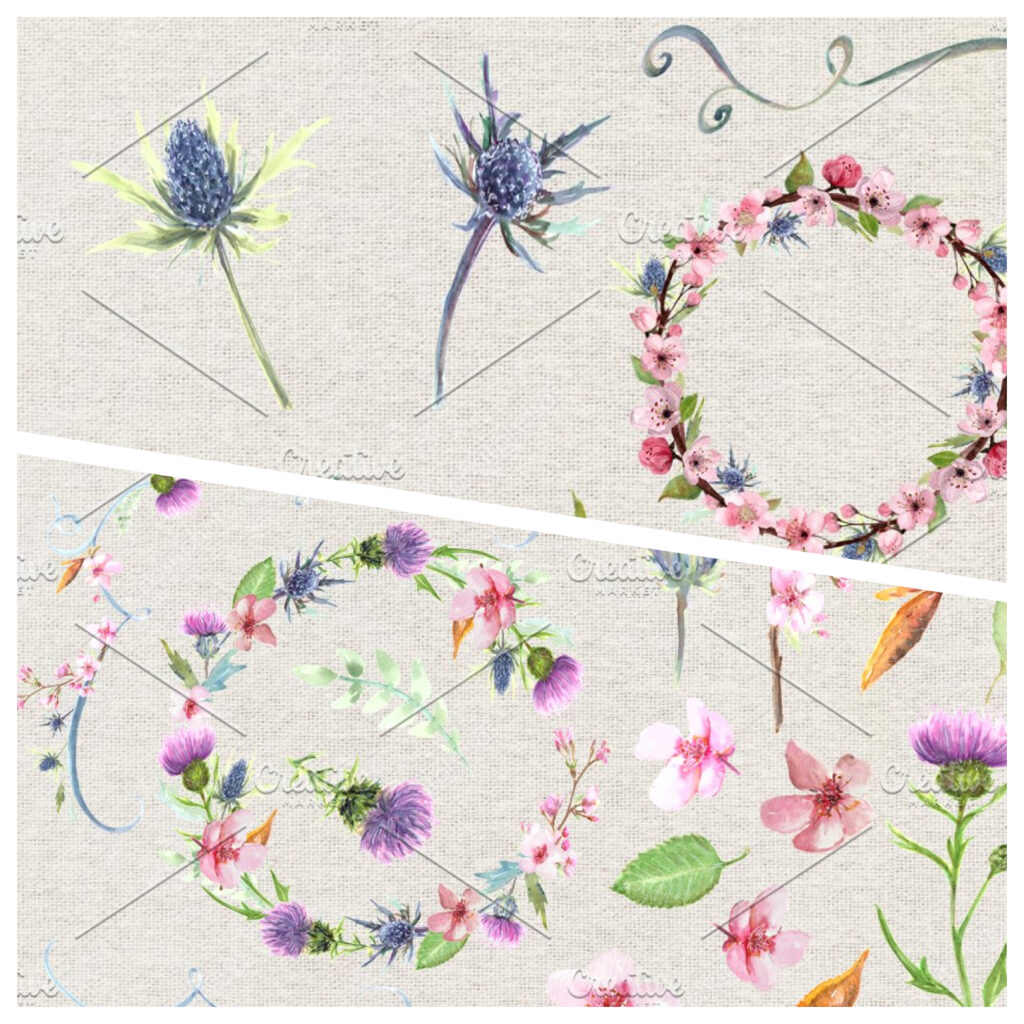 Watercolor Thistle & Cherry Clipart – MasterBundles