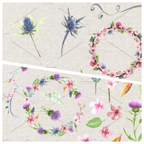Watercolor Thistle & Cherry Clipart – MasterBundles