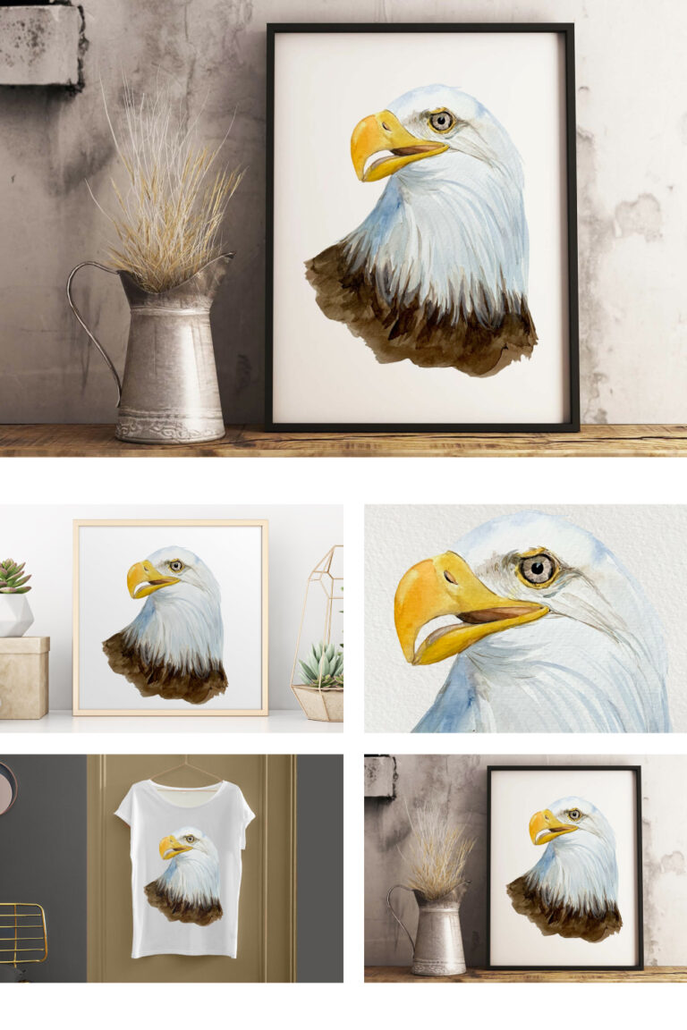 Watercolor Bald Eagle - Clip Art And Print – MasterBundles