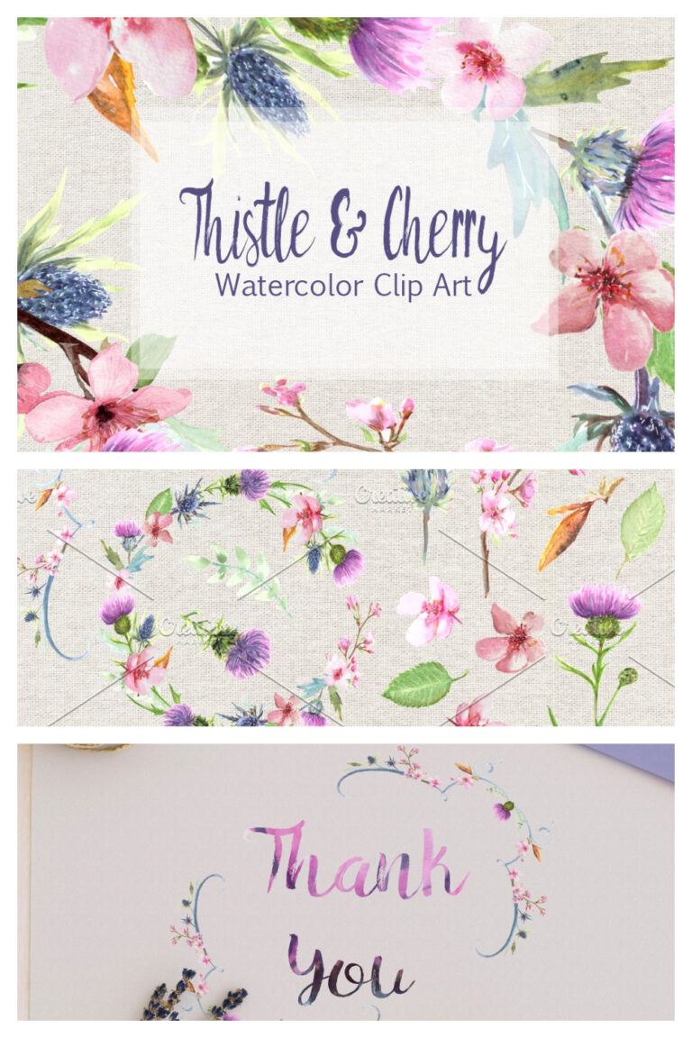 Watercolor Thistle & Cherry Clipart – MasterBundles