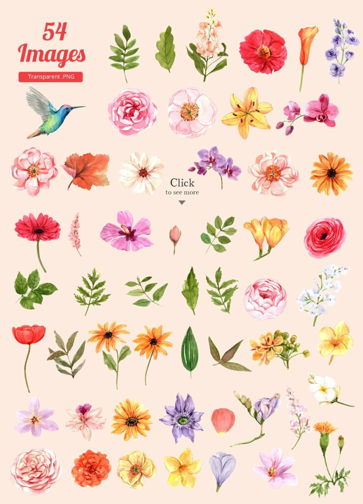 Beautiful Flower Summer Watercolor – MasterBundles