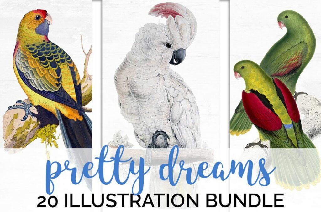 Bird Bundle (100 Birds) – MasterBundles