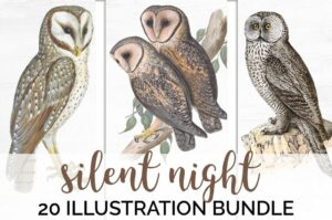 Bird Bundle (100 Birds) | Master Bundles