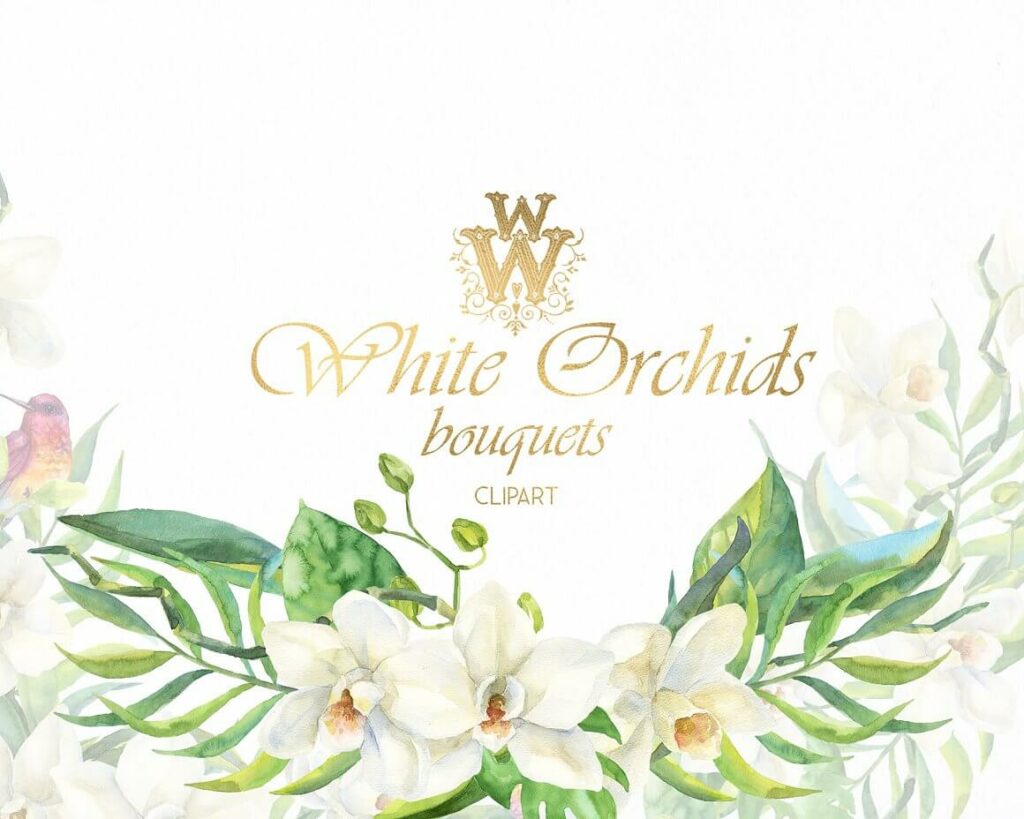 White Orchids Watercolor Clipart – MasterBundles