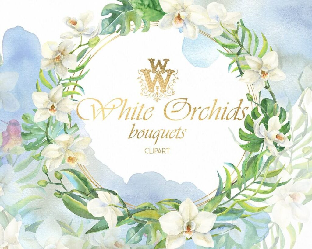 White Orchids Watercolor Clipart – MasterBundles